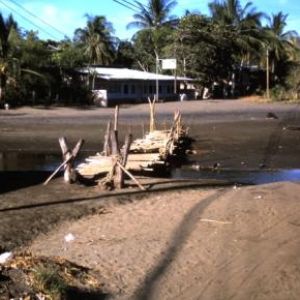 DVFB - Landesverbände