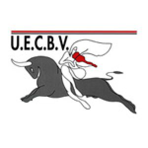 DVFB - Landesverbände